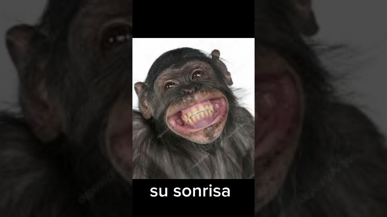 qie boni monito XD #meme #capcut #changos
