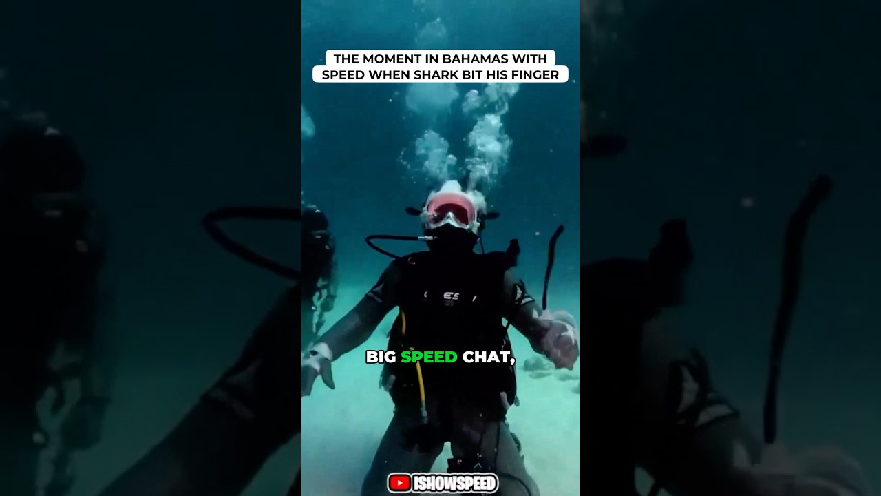 The CRAZY MOMENT iShowSPEED Got His Finger Bitten By The SHARK in The Sea of The Bahamas