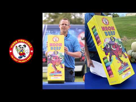 Neon Beef 5" Canister Shells – 24 Loads with Neon Mines