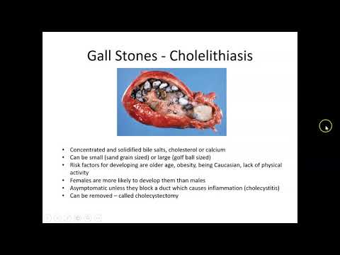 Digestive system video - Gall Bladder and pancreas.
