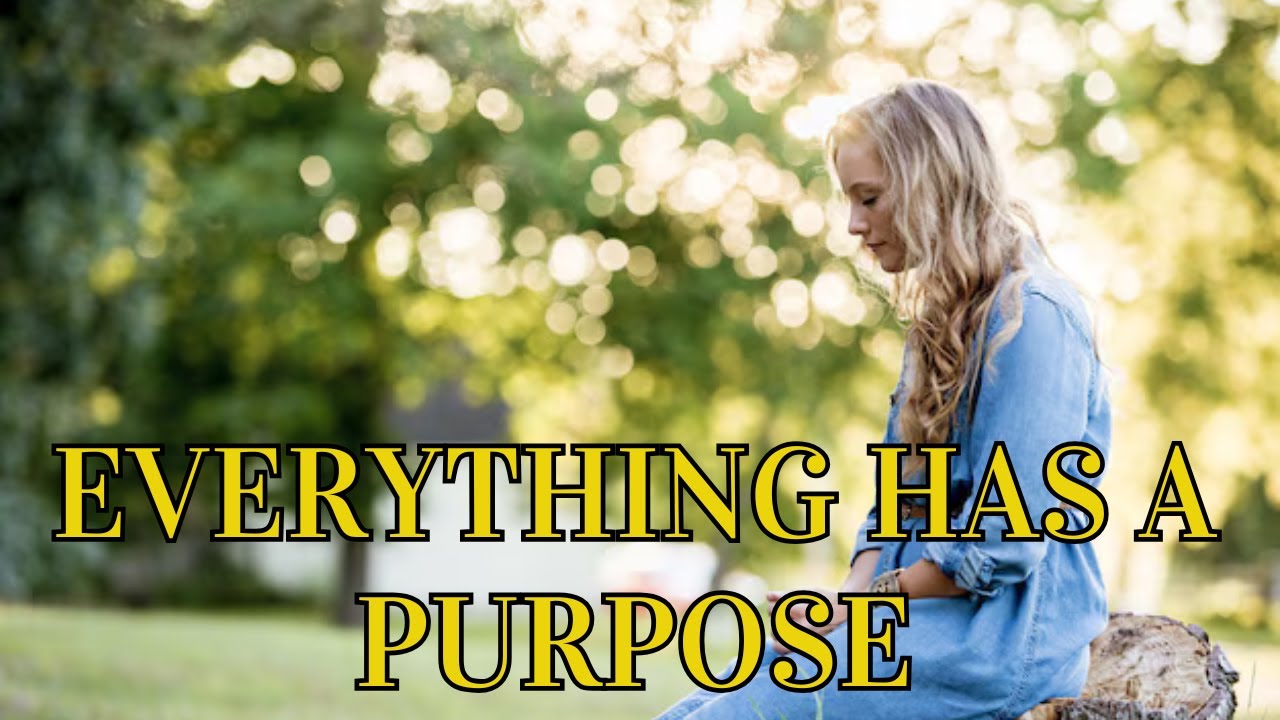 NOTHING IN YOUR LIFE IS BY CHANCE: YOU ARE BEING PREPARED FOR SOMETHING EXTRAORDINARY