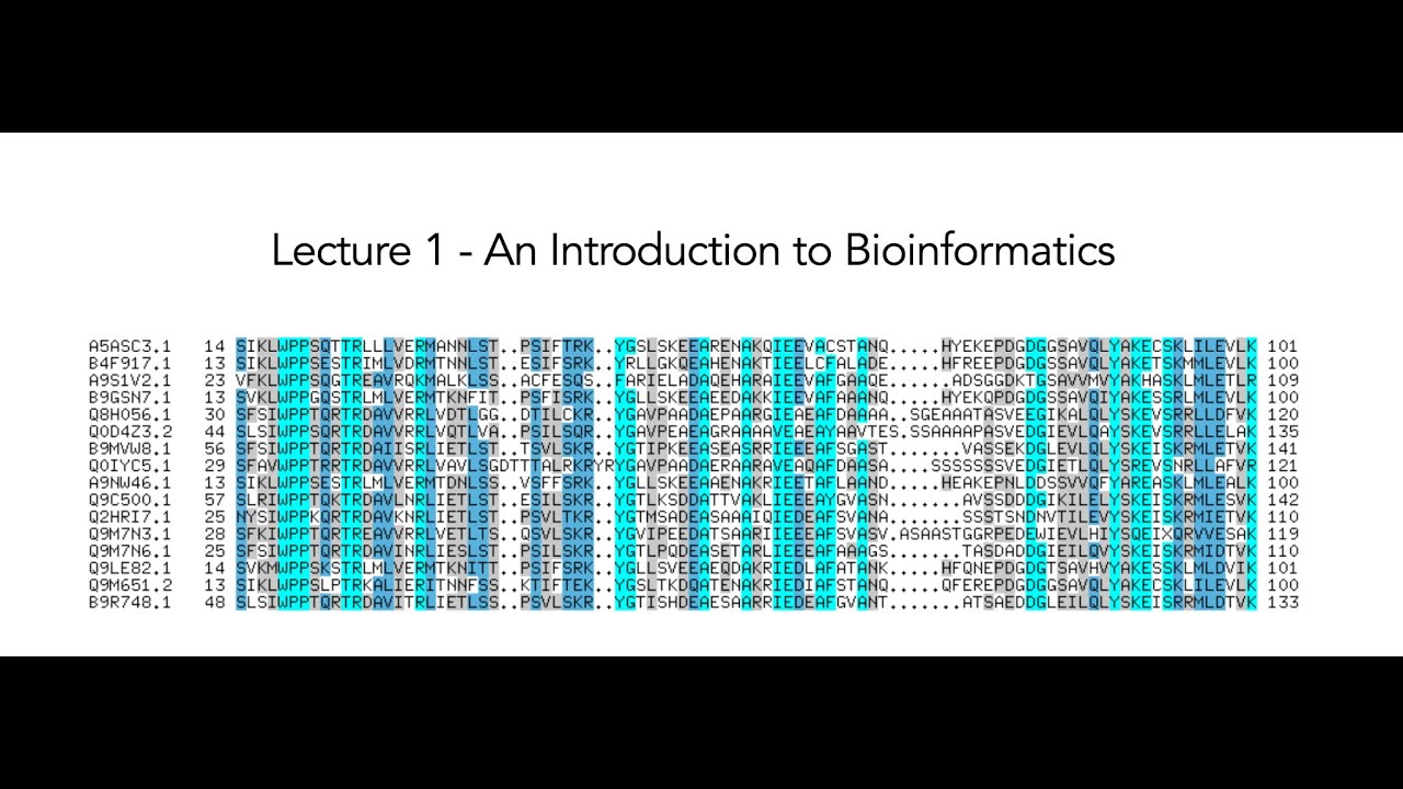 Module 1:  Introduction to Bioinformatics