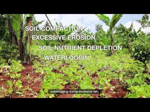 Conservation Farming and Climate Smart Agriculture in Uganda