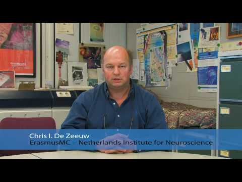 Potentiation in Motor Learning