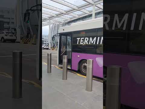 Newly wrapped Scania K230UB for Terminal 4 shuttle #shorts