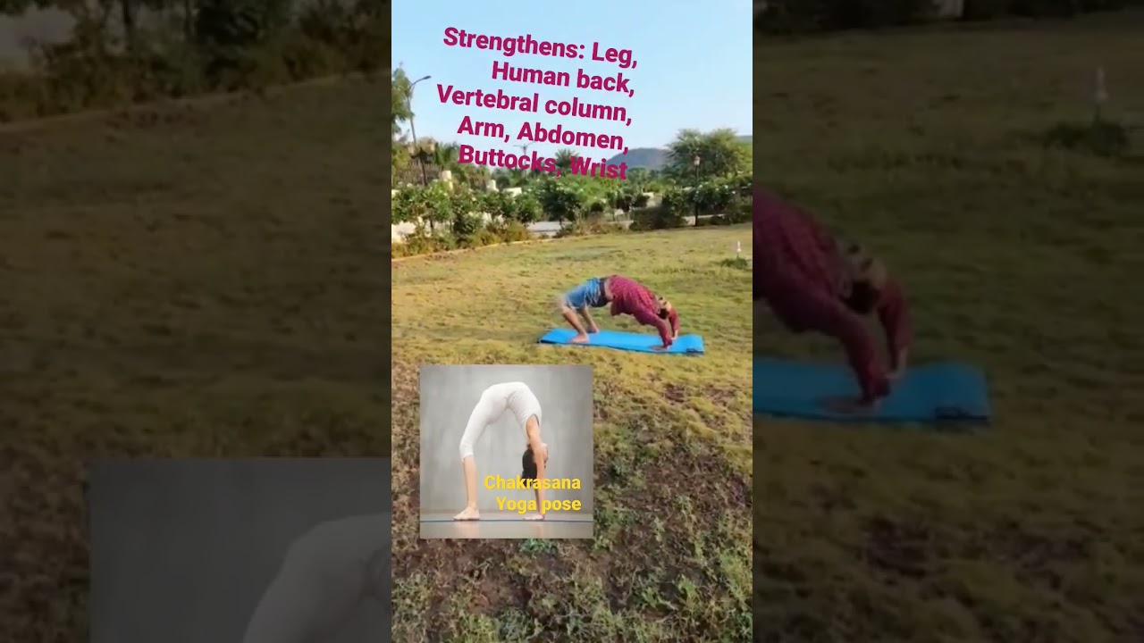 Chakrasana or Urdhva Dhanurasana [ 2022 ] #yoga #shorts