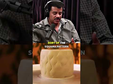 Why Half Of All Stars Have Arabic Names - Neil deGrasse Tyson