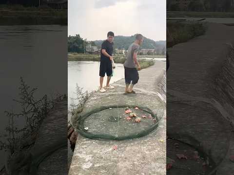 Is this Smart or nah? #fishing #fishinglife #finesse #viralvideo #wow