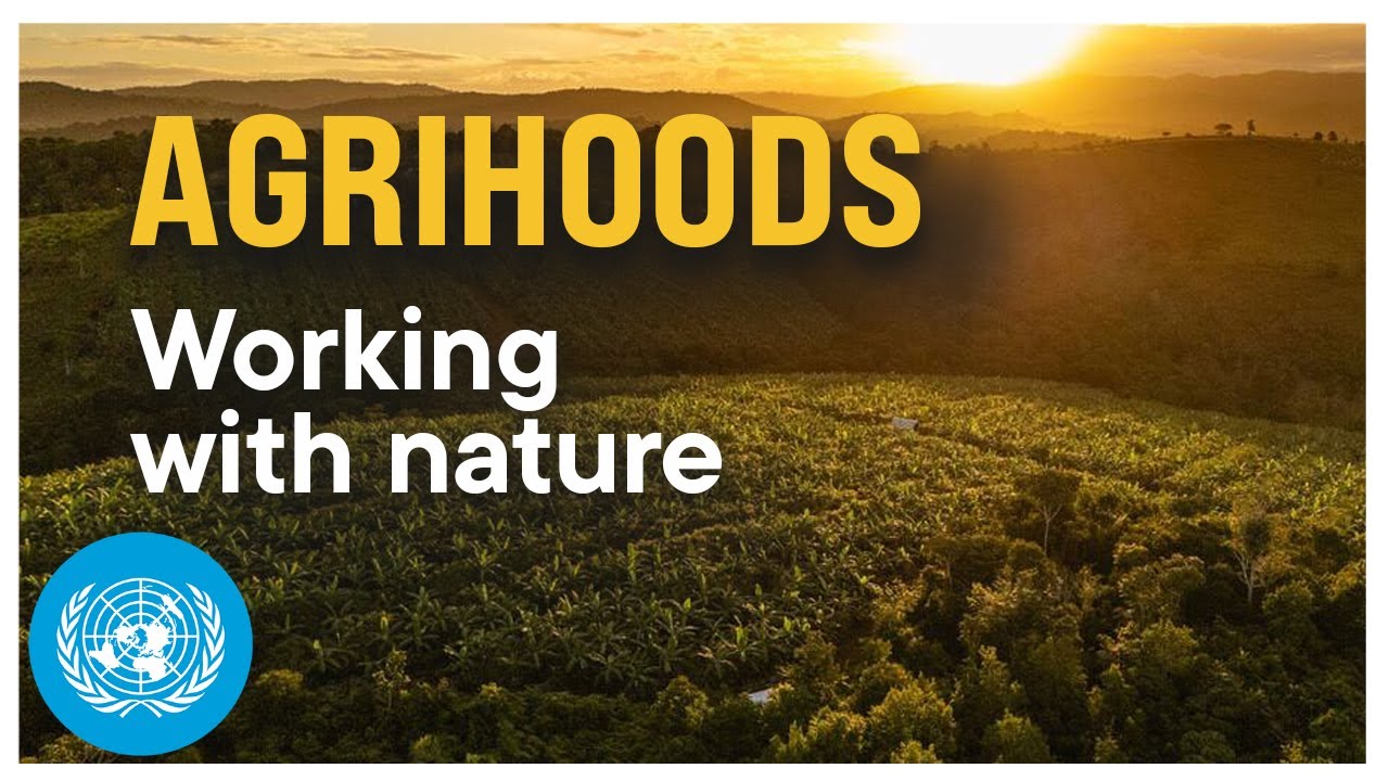 The Neighborhood Design That Could Save the Planet | United Nations