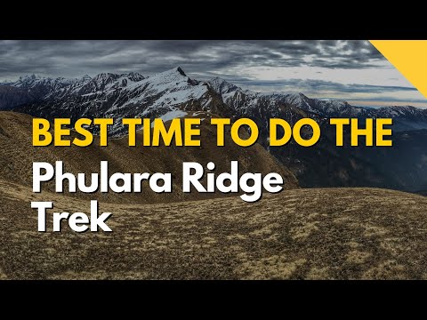 Phulara Ridge Trek 2023 - Trekking in Uttarakhand - Indiahikes