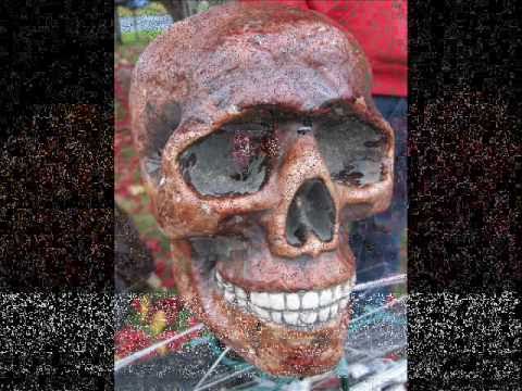 2010 Halloween Yard Haunt Display
