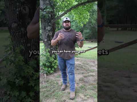 Deter FLEAS Naturally | Flea Destroyer Nematodes