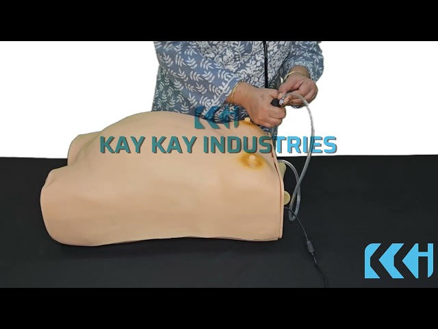 Birthing Simulator - Prenatal Cervix and Birth Canal Model Manufacturer ...