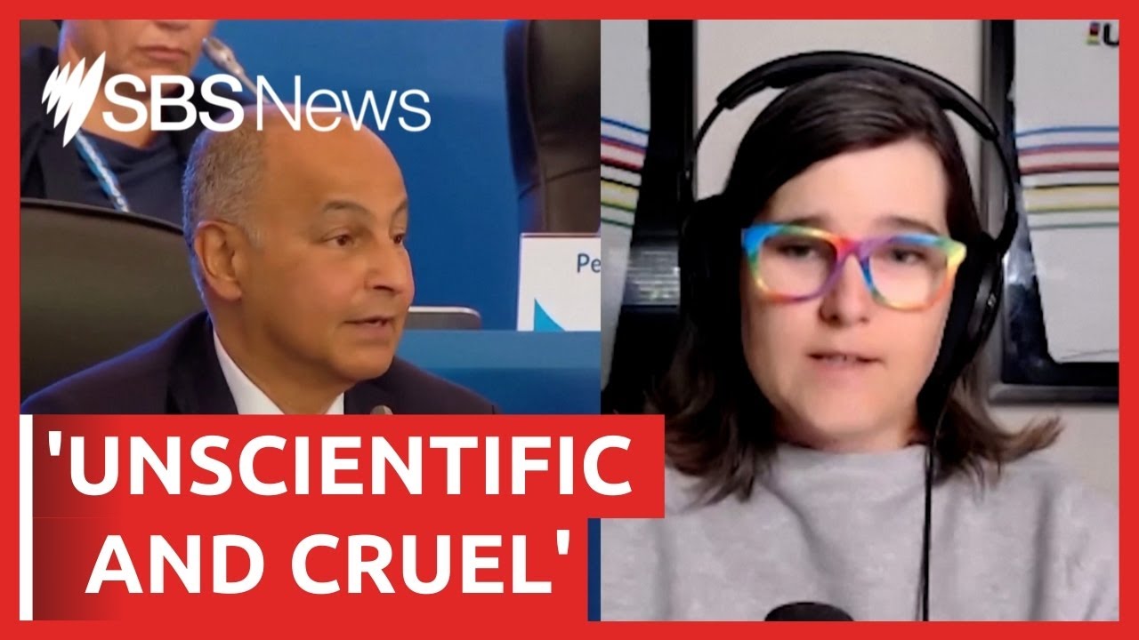 Transgender athletes hit back at FINA swimming ban for 'unscientific' justificationS | SBS News