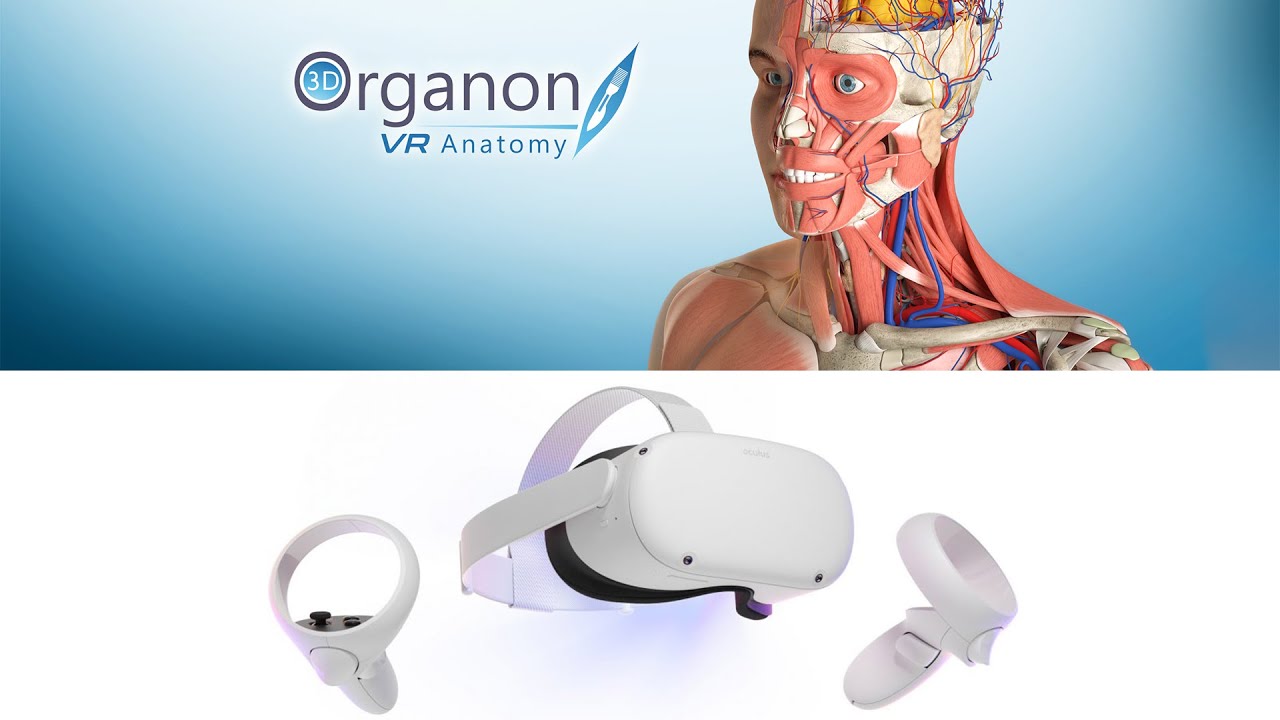3D Organon VR Anatomy on Oculus Quest 2