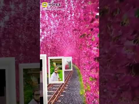 Aasif khan bali(4)