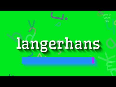 How to say "langerhans"! (High Quality Voices)