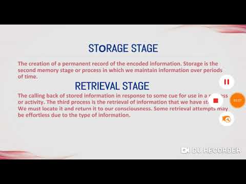 The Process Of Memory And Forgetting