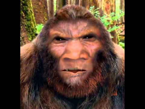 The Sierra Bigfoot Sounds Come To Life In This Animation (Video ...