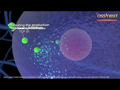 GFC Kit - Growth Factor Concentrate Kit Latest Price, Manufacturers ...