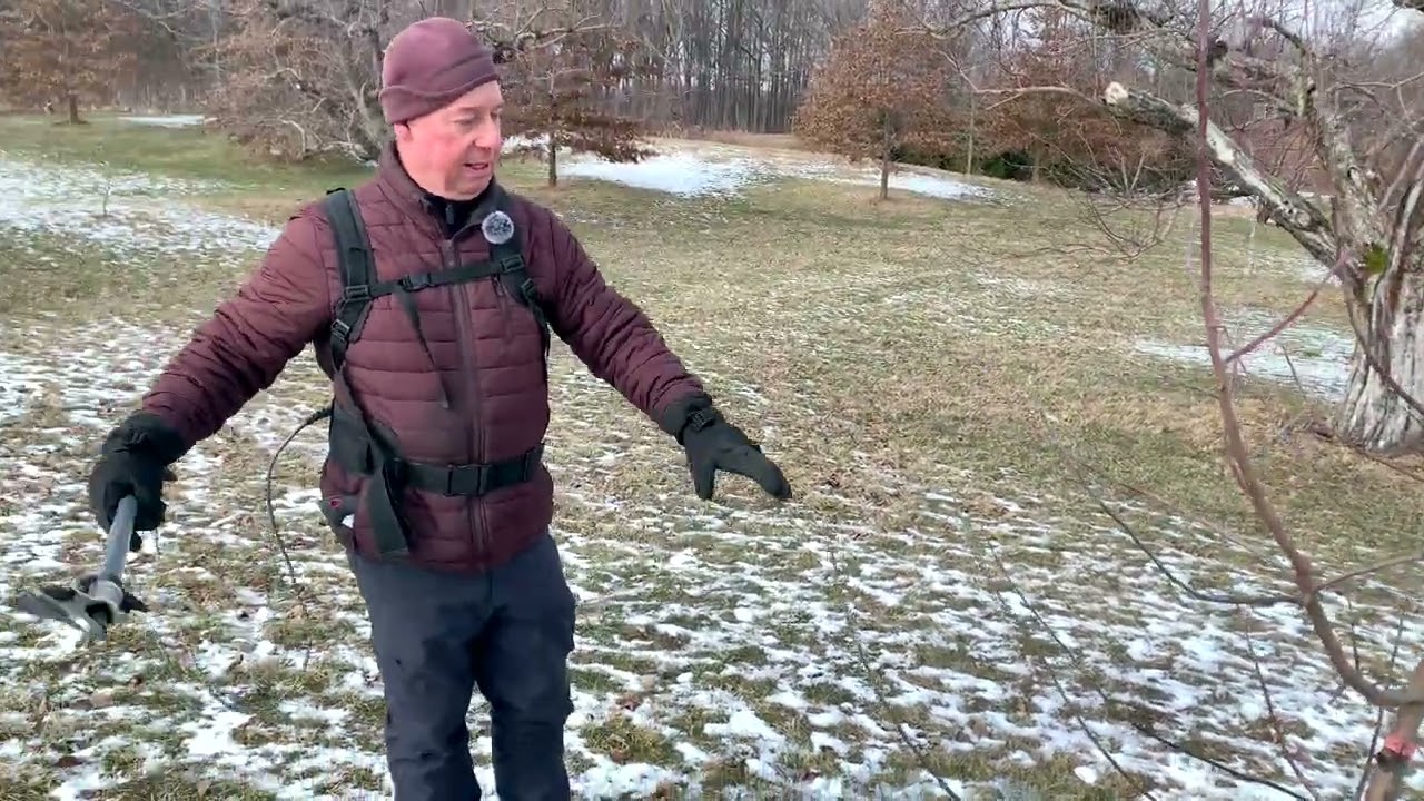 Lesson on Modified Central Leader Pruning for a 3rd Year Apple Tree