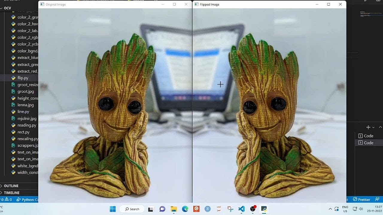 25. Flip the Image using OpenCV and Python