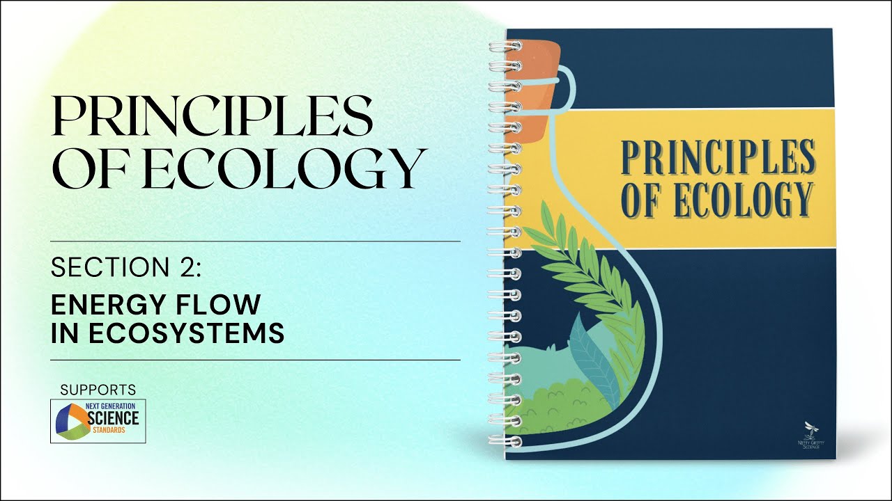 Principles of Ecology: Sec. 2: Energy Flow in Ecosystems