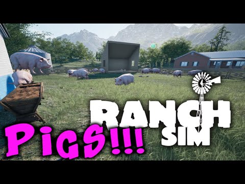 Steam Community :: Video :: RANCH SIM - PIGS