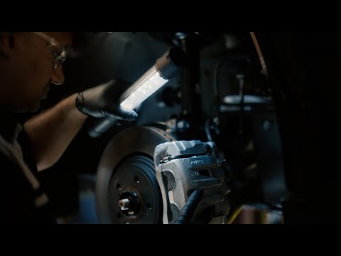 Lexus | Complimentary 6 Month Check-In