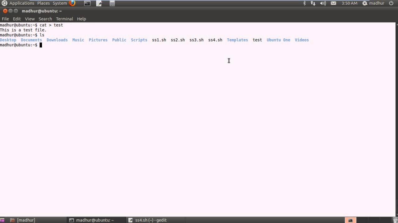 Shell Scripting Tutorial 19  Positional Parameters