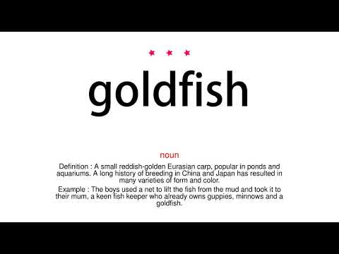 How to pronounce goldfish - Vocab Today