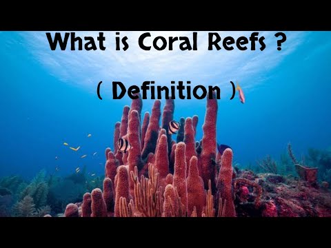 Definition of Coral Reefs | how to define Coral Reefs for classifications and definitions join chnl