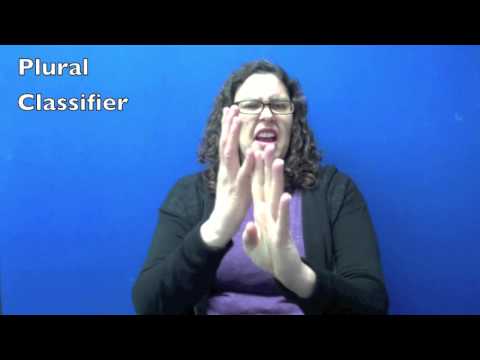 8 Types of Classifiers