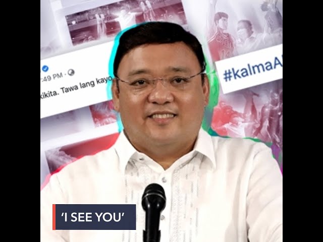 ‘Akala 'nyo 'di ko nakikita’: Roque responds to viral Boracay memes