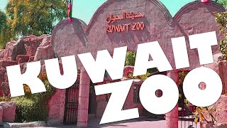 10 Things to Do in Al-Rai Kuwait Zoo | Gems.Travel