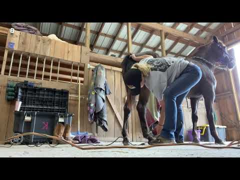 The Chaotic (Real) Life of a Barn Manager