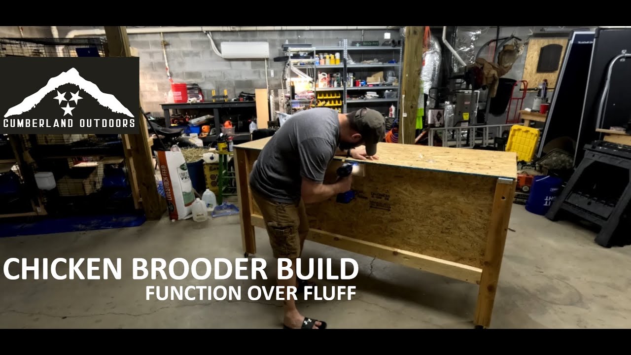 DIY Chicken Brooder Build For Your Baby Chicks!