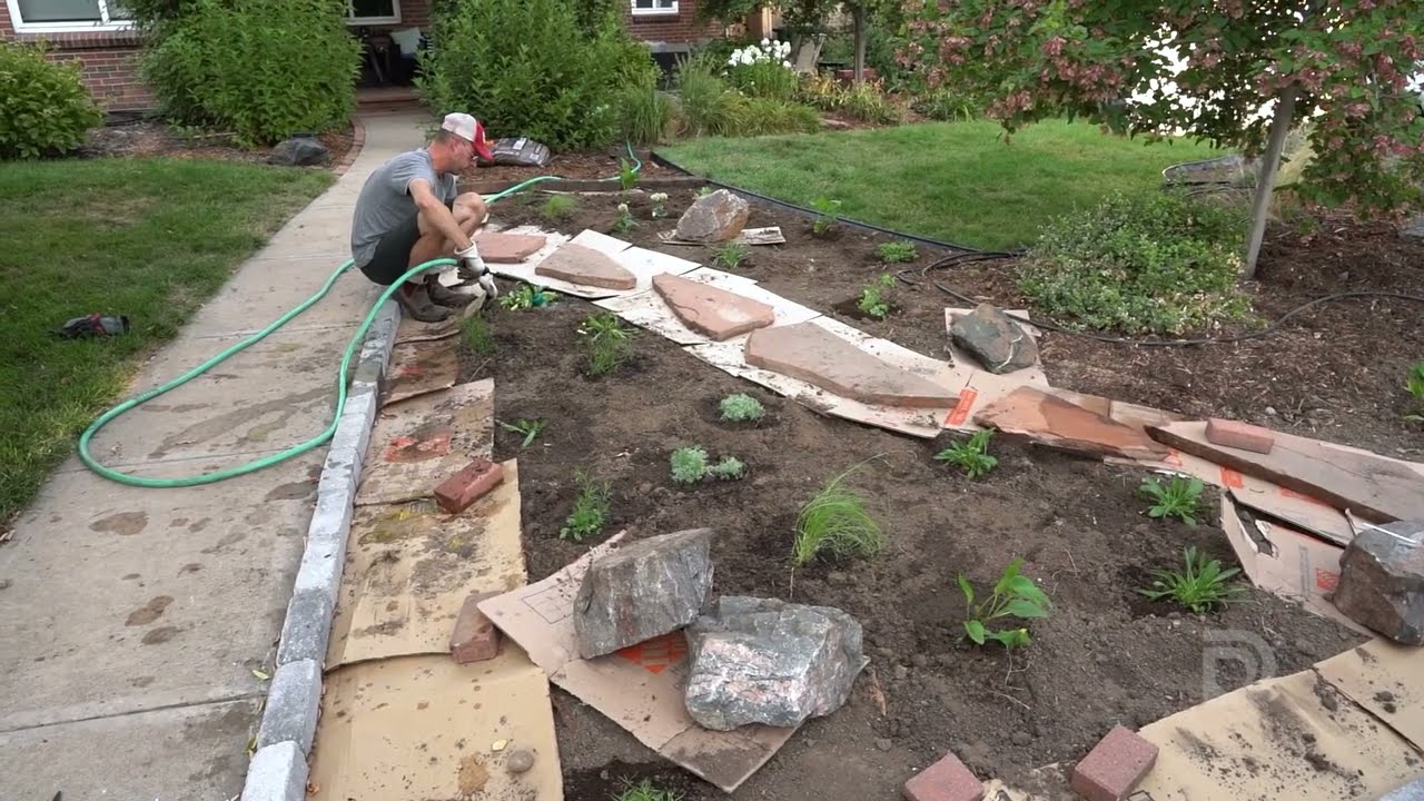 Why I took out my grass and planted a Xeriscape  ColoradoScape garden.