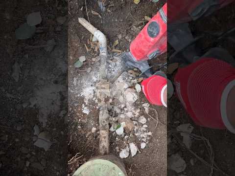 Replacing A Double Check Backflow Preventer