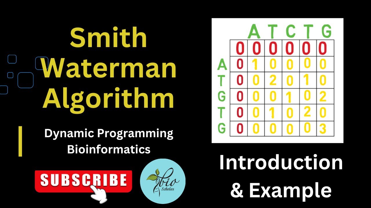 Smith Waterman Algorithm || Dynamic Programming|| Bioinformatics||Introduction & Example