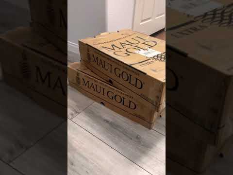 UNBOXING MAUI GOLD PINEAPPLE
