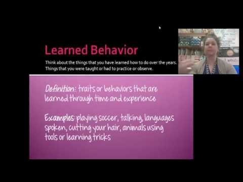 Inherited VS learned