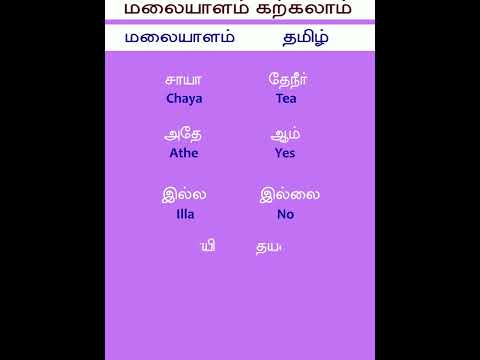 Malayalam VS Tamil Learning #shorts #shortsfeed #short #shortsvideo #shortvideo #viralvideo #vlog