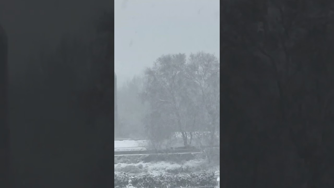 First big snowfall at Zhenjiang, Jiangsu, China 🇨🇳 #china #jiangsu