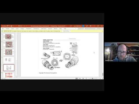 Medical Terminology- HES 214- Cardiovascular System