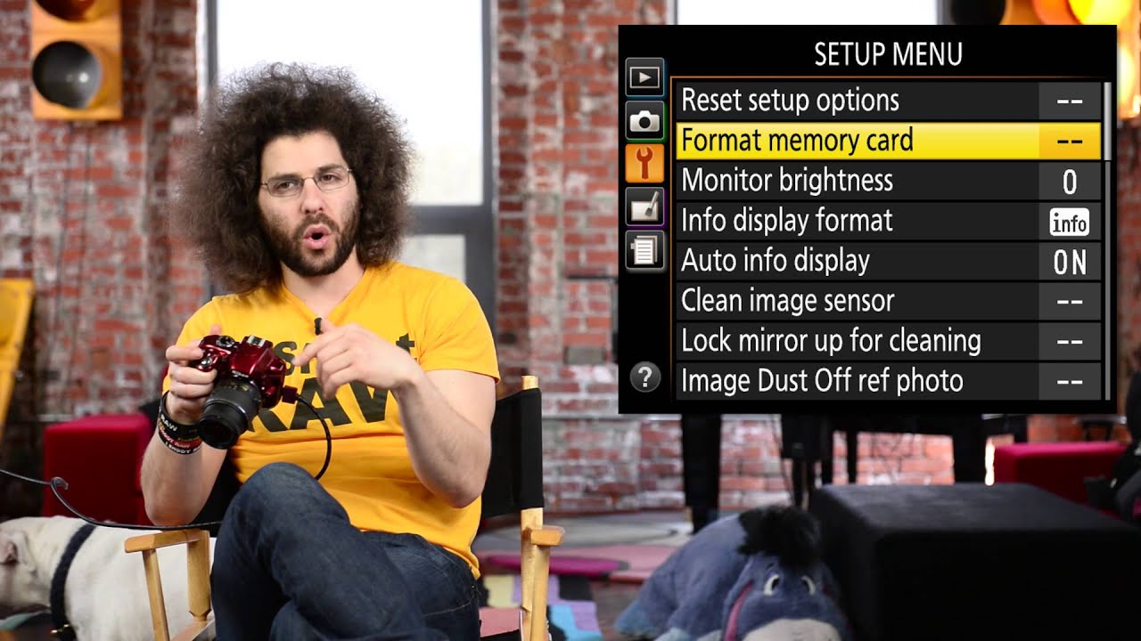 Nikon D3300 Users Guide
