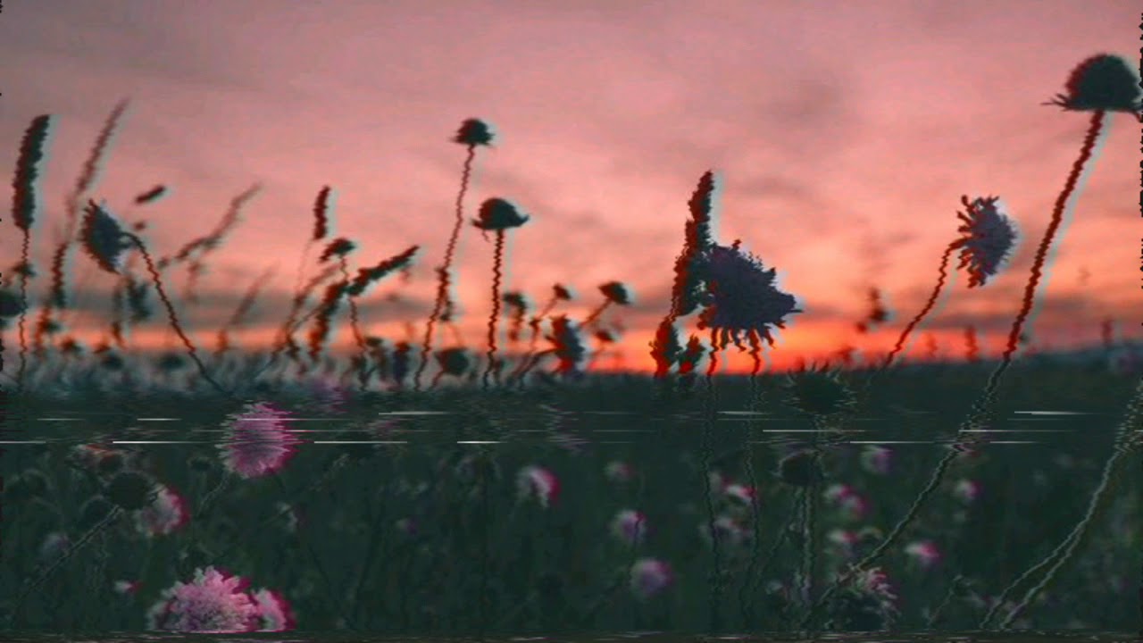 Flower VHS effect.gif