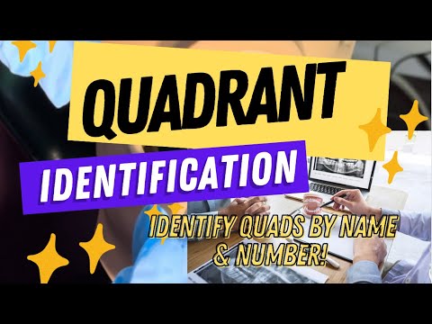 Quadrant Identification 🤗