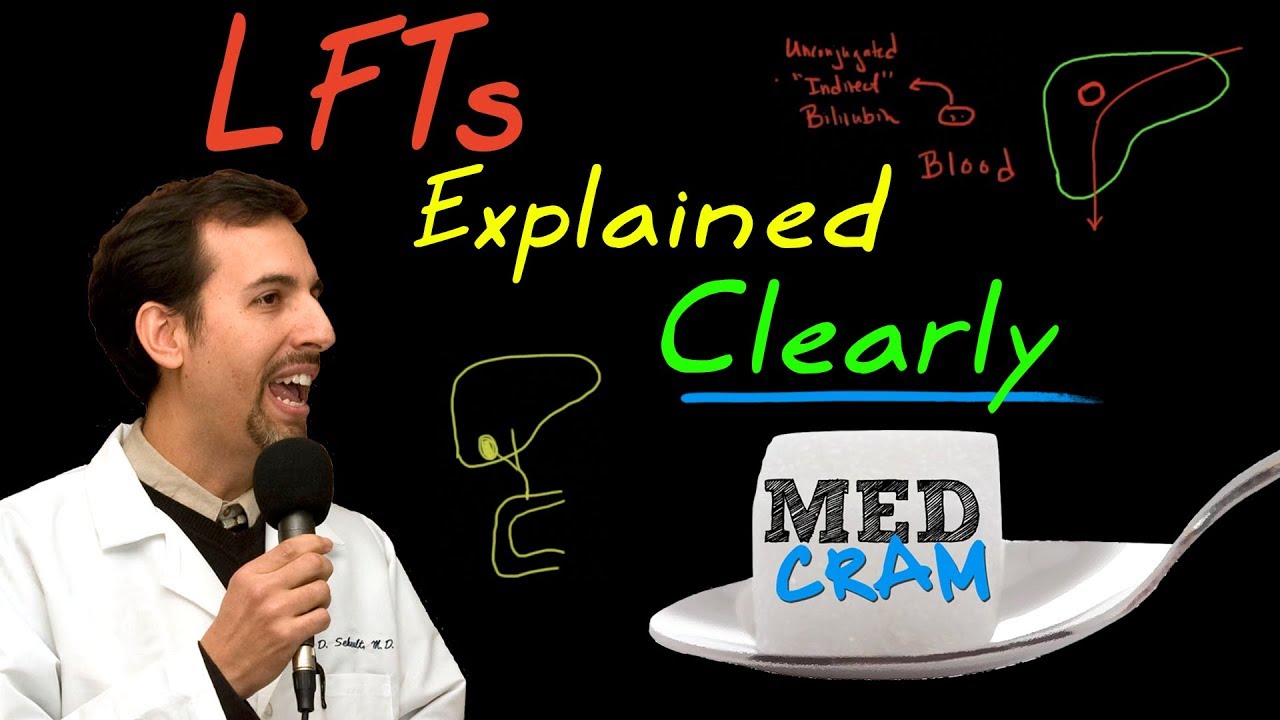 Liver Function Tests (LFTs) Explained Clearly by MedCram.com