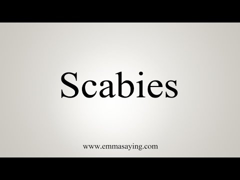 How To Say Scabies